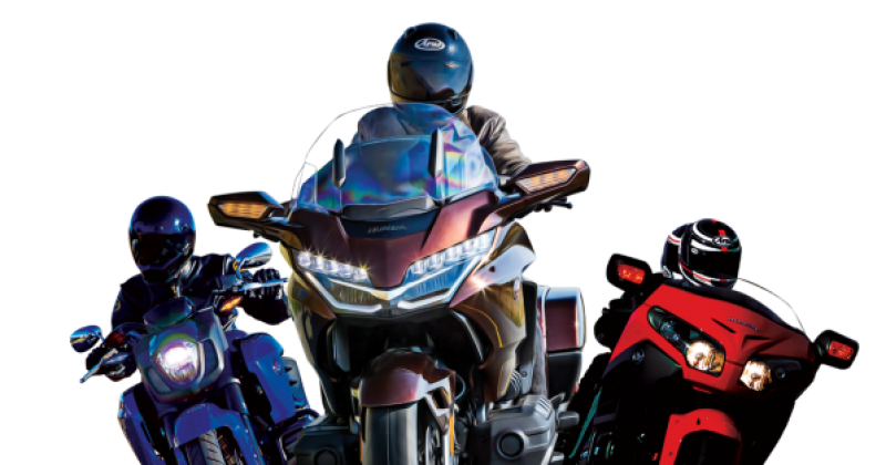 Wing Ding 43 - 2022 - CycleFish