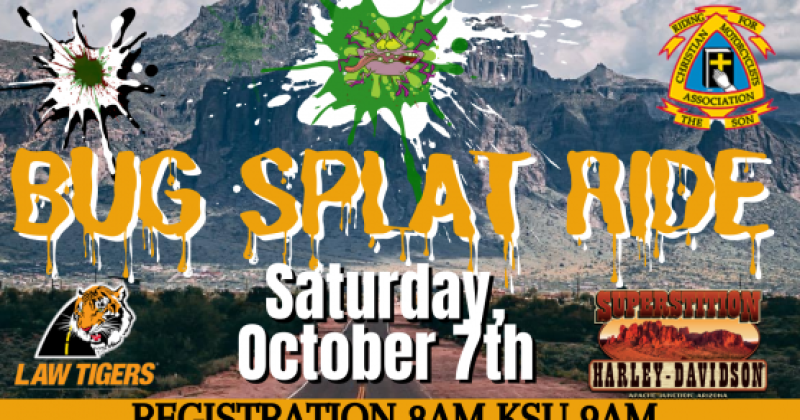 Bug Splat Ride - CycleFish